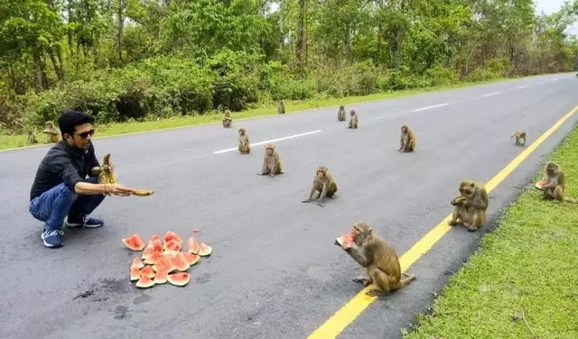 అద్భుతమైన ఫోటోల ఎంపిక