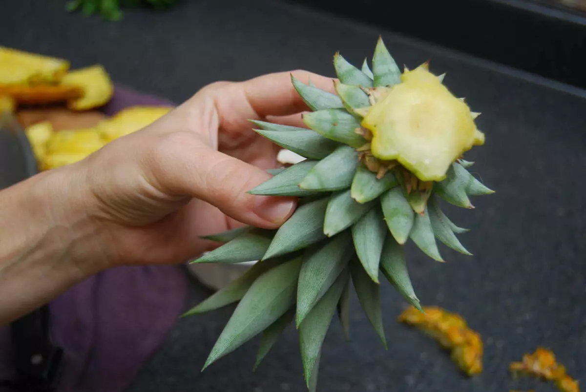 Comment cultiver l'ananas à la maison