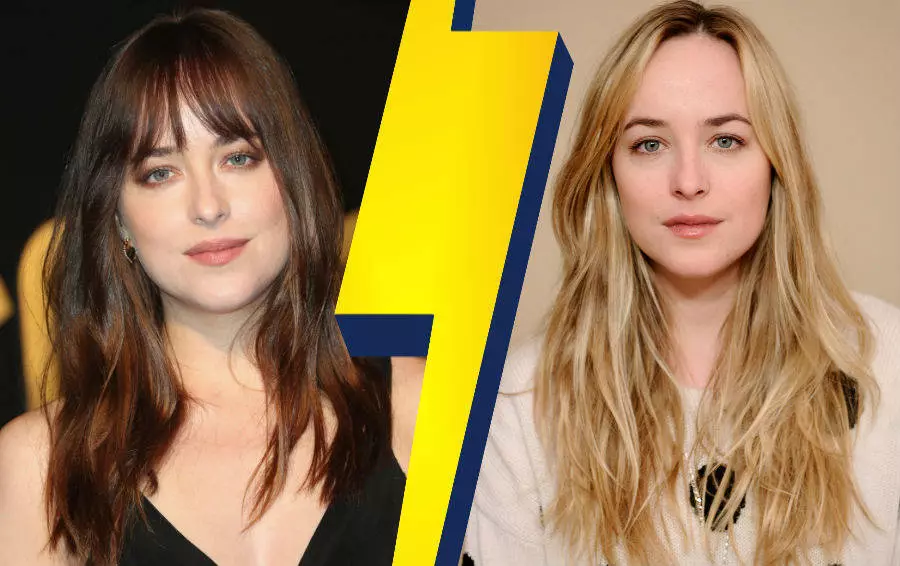 Dakota Johnson briunetė