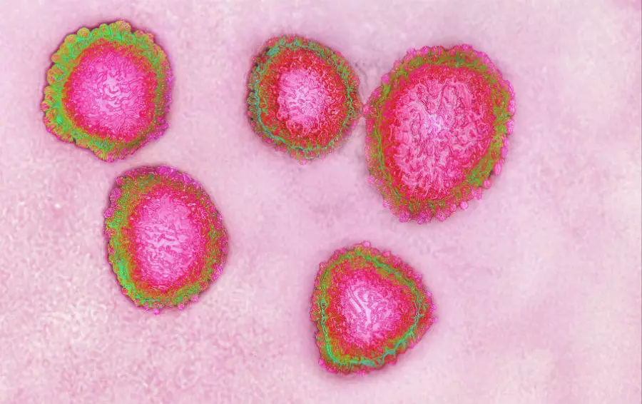 អង្គហេតុអំពី Coronavirus