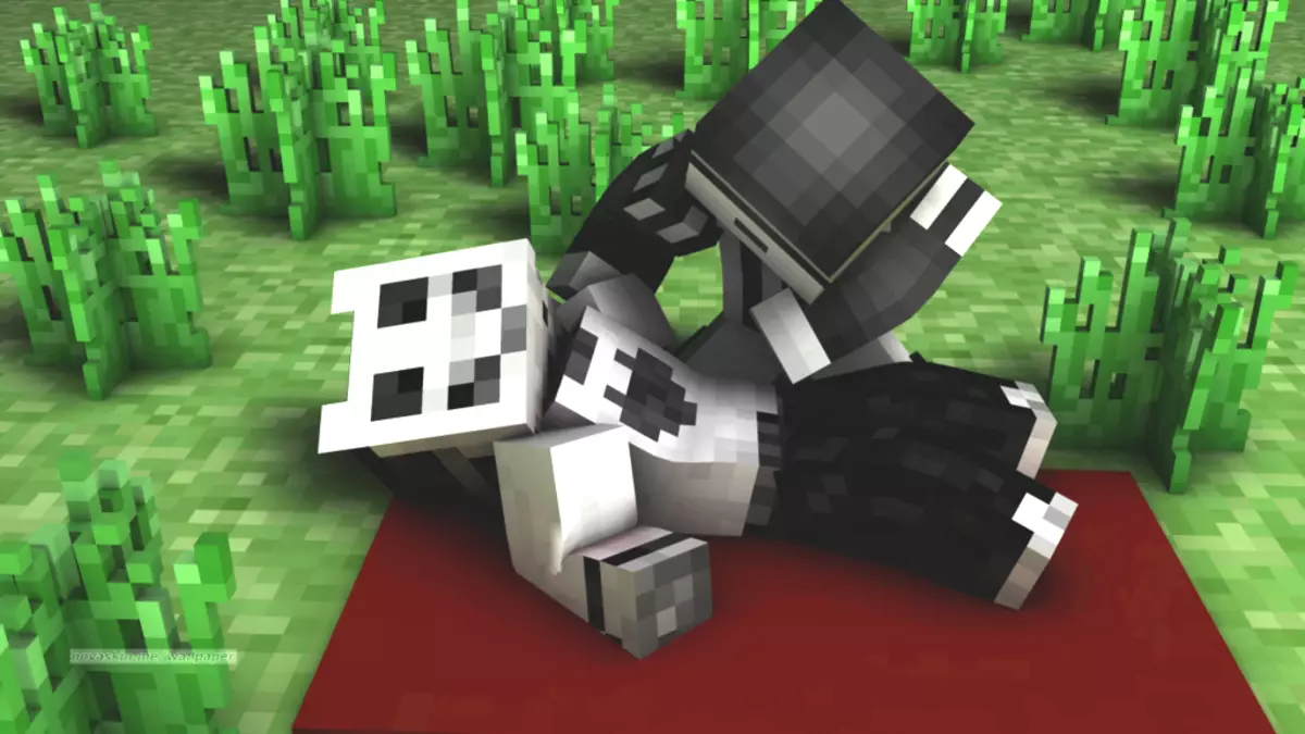 Hokker team yn minecraft ynfiere, sadat dingen net nei de dea falle