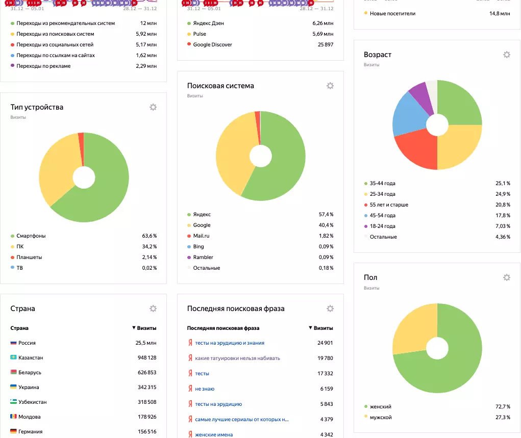 Screenshot ntawm Yandex.Metric Service rau 2020