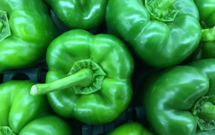 Comida que está saturada de agua.