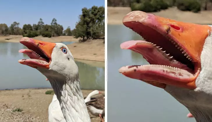 Dünyayı beklenmedik bir taraftan açacak fotoğraflar