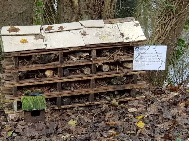 Fotoen déi d'Welt vun enger onerwaarter Säit opmaachen