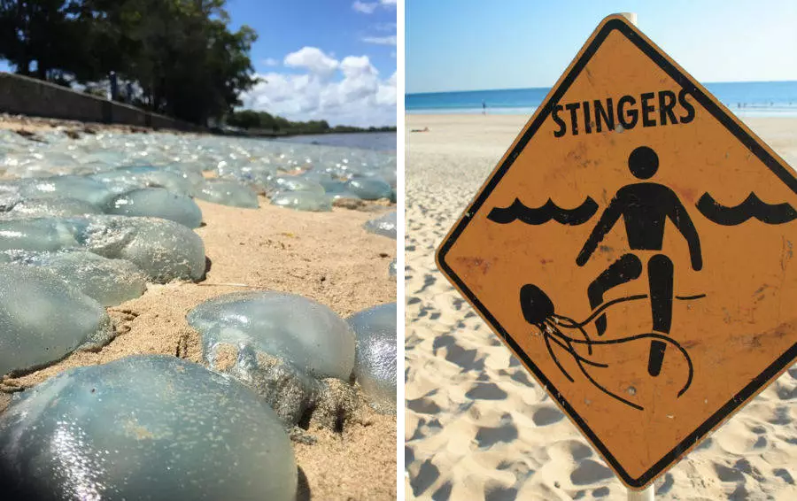 Signs on the coast of Australia