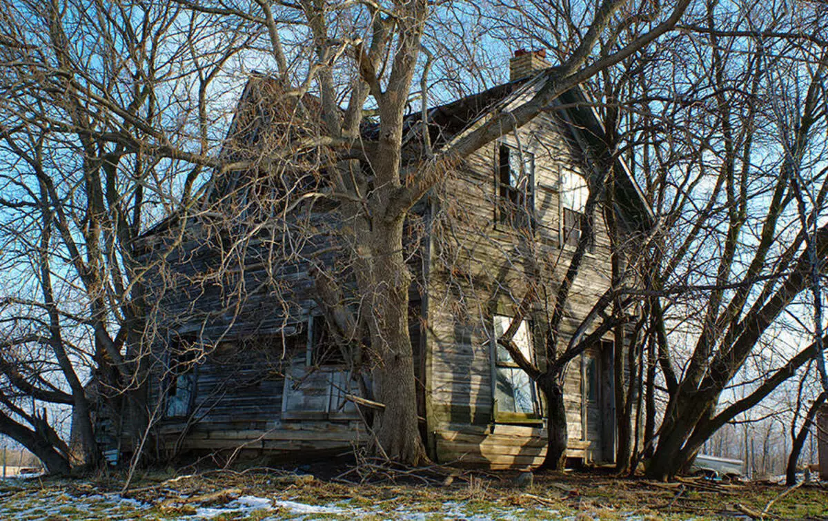 House surrounded by trees