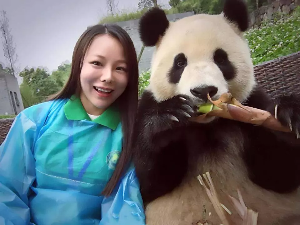 Larawan 5 - Giant Panda ay gumagawa ng selfie professional maraming babae