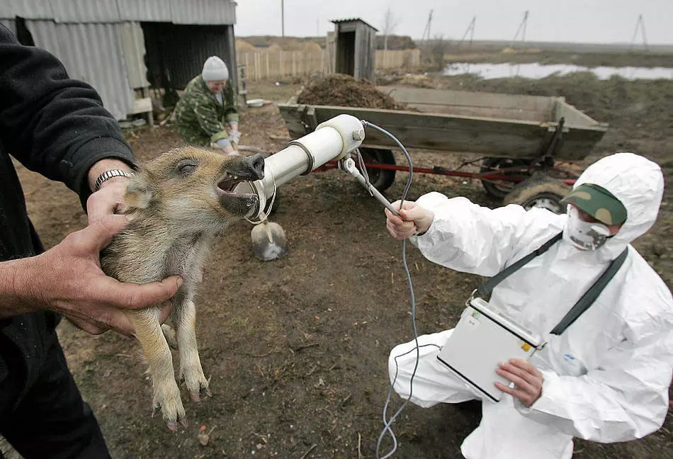 15 guleyên rastîn ên Chernobyl