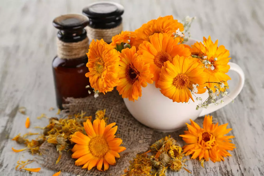 Tintura de Calendula