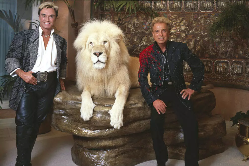 Yo'lbarsning duetga hujumi "Siegfried va Roy" ga hujum qiling