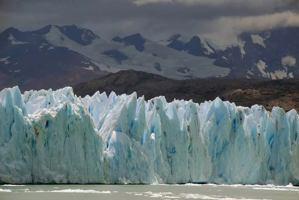 Chisviniro chePatagonia,