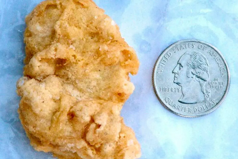 Kip Nuggets in de vorm van George Washington