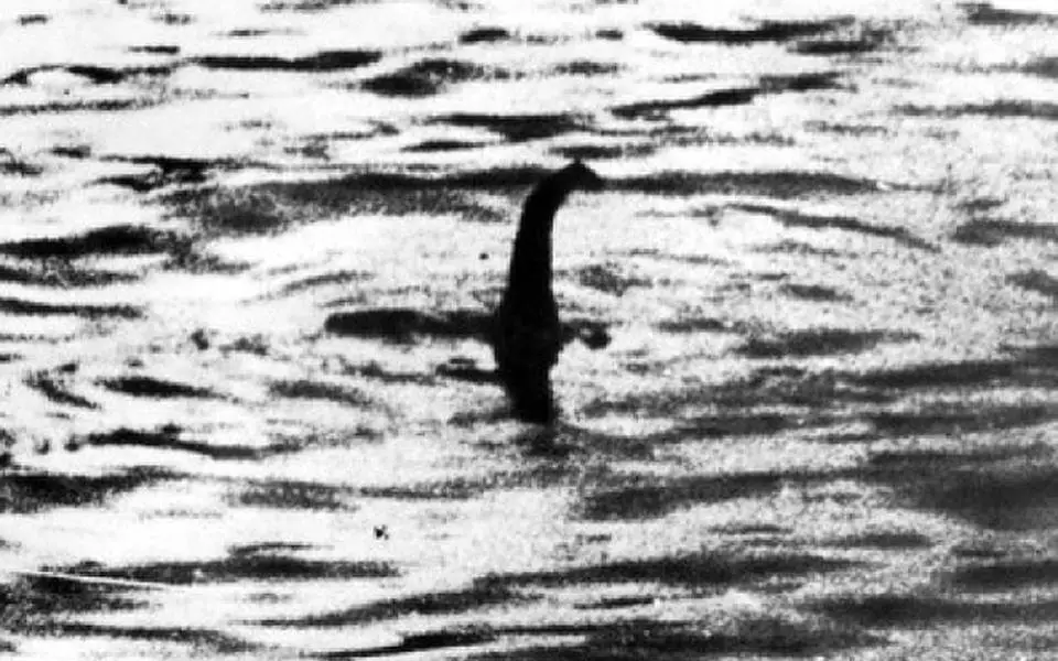 Moch Ness Monster.