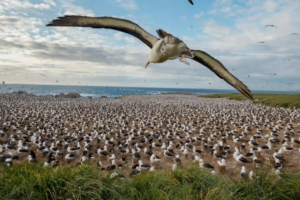 Beste Foto National Geographic 2019