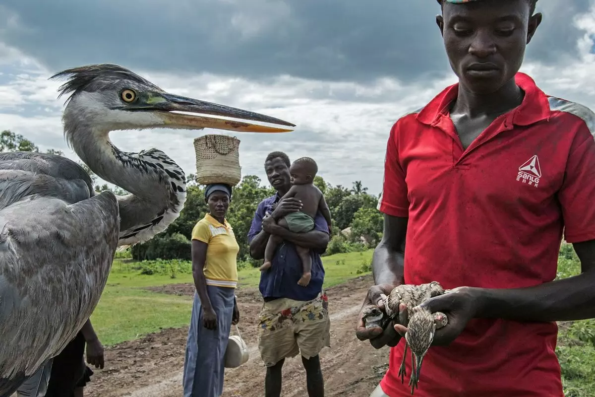 Beste Foto National Geographic 2019