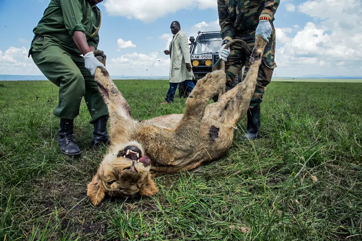 Beste Foto National Geographic 2019