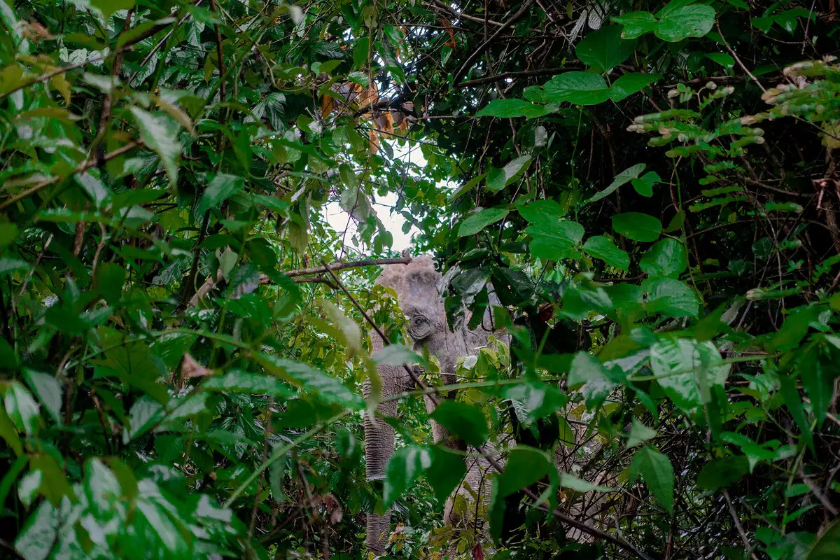 кращі фото national geographic 2019