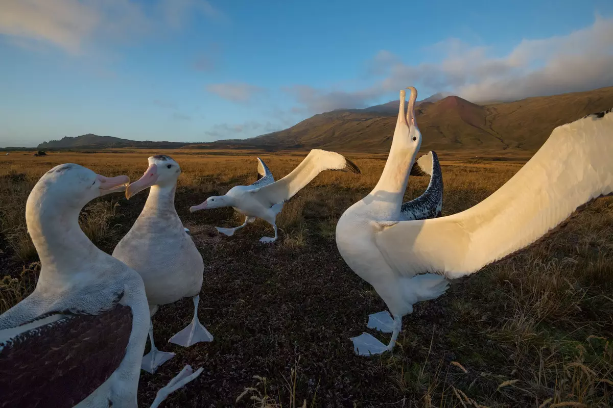 Beste Foto National Geographic 2019