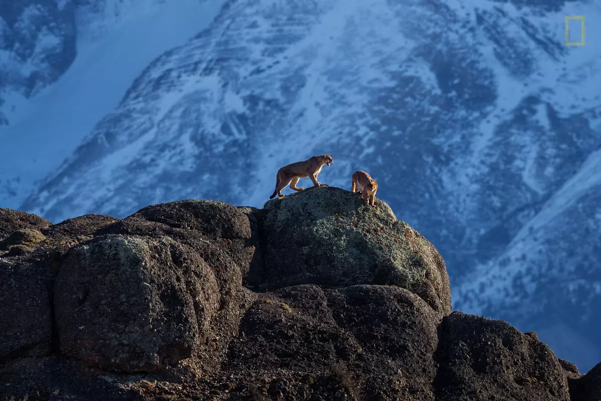 Beste Foto National Geographic 2019