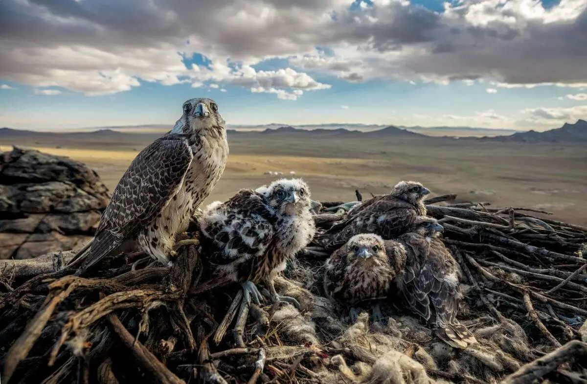 кращі фото national geographic 2019