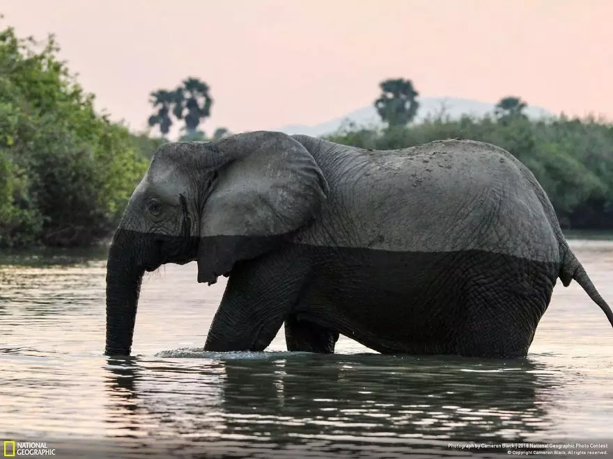 кращі фото national geographic 2019