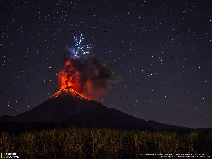 Beste Foto National Geographic 2019