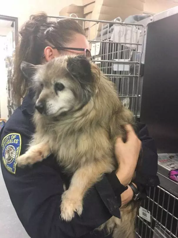 Foto 2 - Meisie het 'n foto van 'n hartseer hond gesien en haar gered