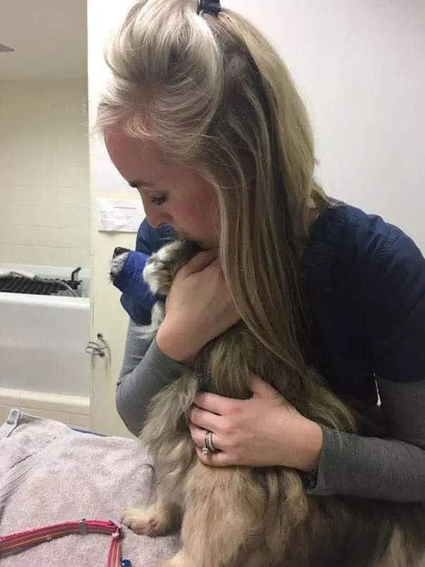 Photo 3 - Fille a vu une photo d'un chien triste et l'a sauvé