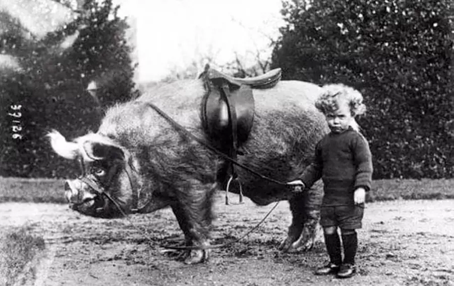 11 fotos históricas que abrirán a xanela a un pasado descoñecido