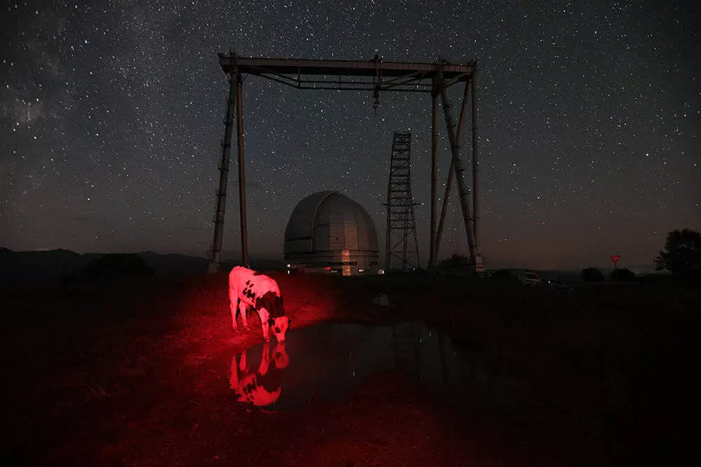 Finaliści ich konkursów fotograficznych. Andrei Stenina. 20556_29