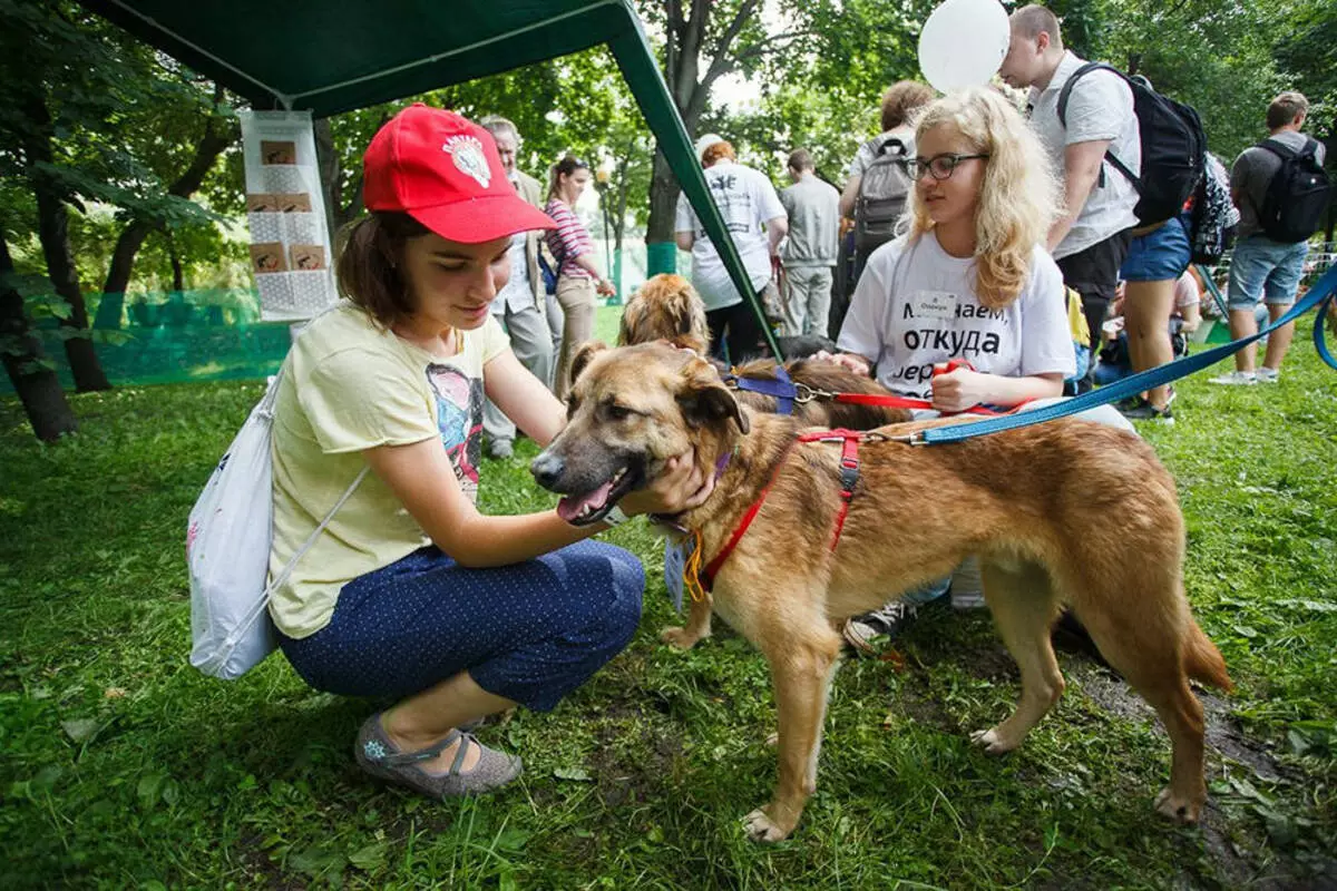 Kuratidzira kumba moscow