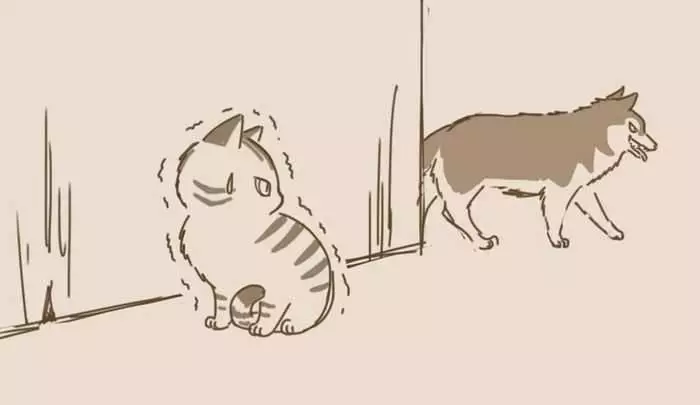 Larawan 22 - Comic na may hindi inaasahang pagtatapos ay nagpapakita ng kabilang panig ng isang malayang pusa