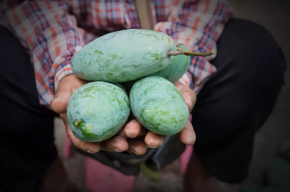 Mango bao nhiêu đường