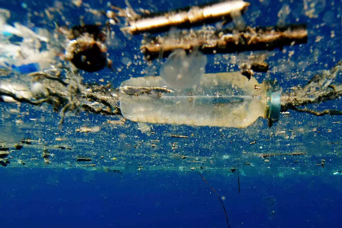 Vísindamenn hafa búið til bakteríuvinnslu plast