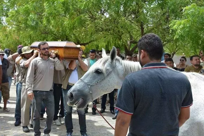 Foto - O cabalo dixo adeus ao propietario do funeral só rompe o corazón