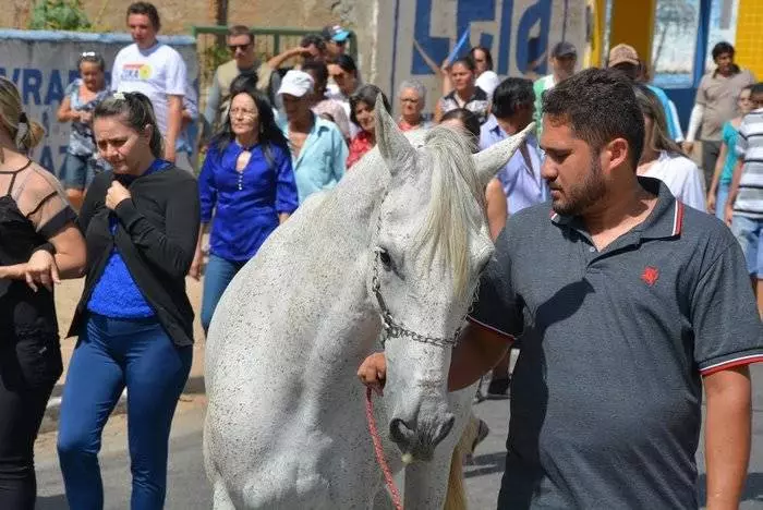 Foto 2- O cabalo dixo adeus ao propietario no funeral que só estalou o corazón