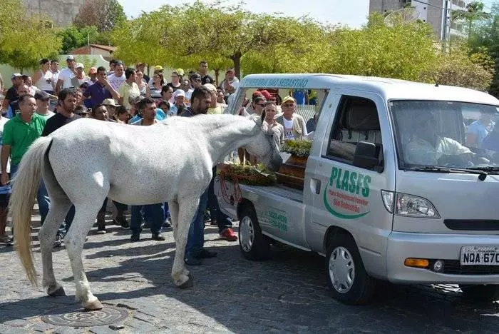 تصویر 3 - گھوڑے نے کہا کہ جنازہ میں مالک کو الوداع صرف دل پھٹ جاتا ہے