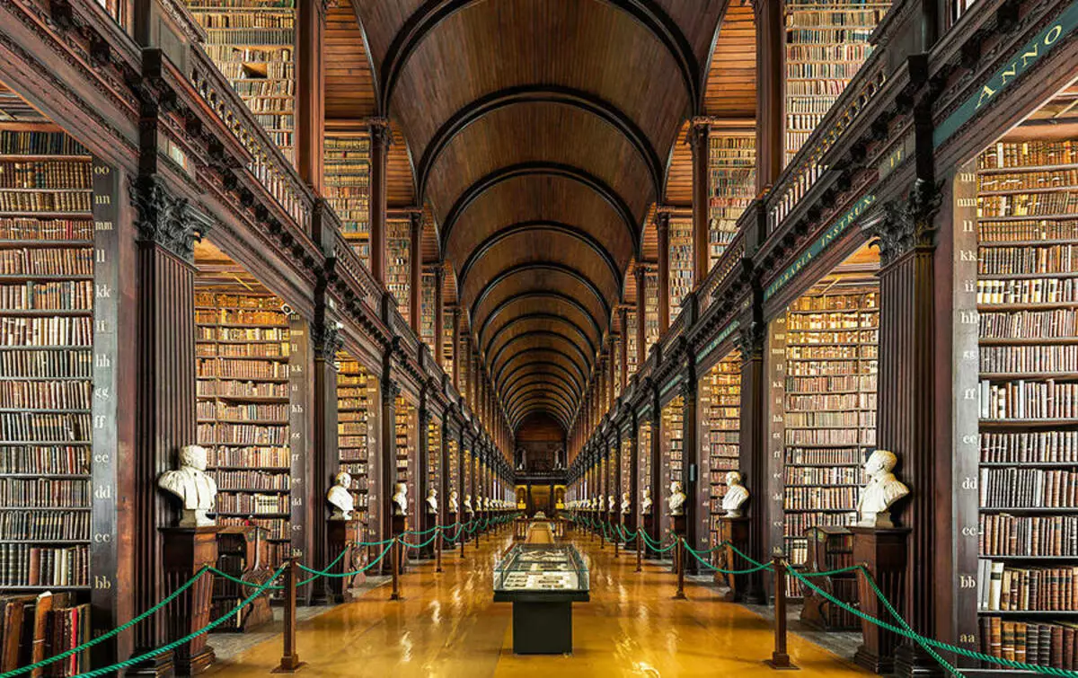 Perpustakaan Universitas Dublin