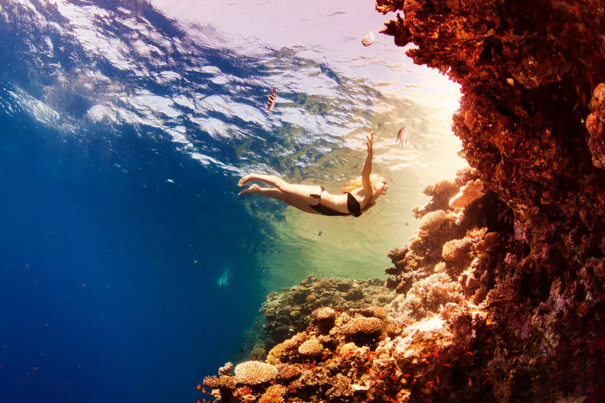 Cele mai bune locuri pentru snorkeling în Egipt