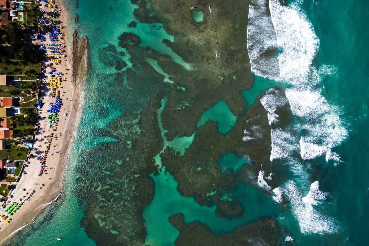 Snorzling Australia.