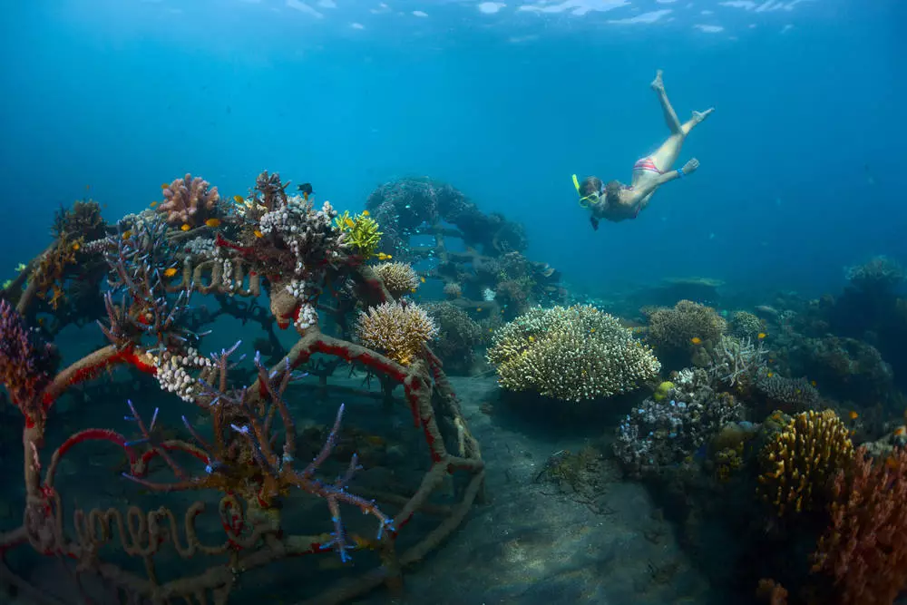 Rafa borok bali snorkling