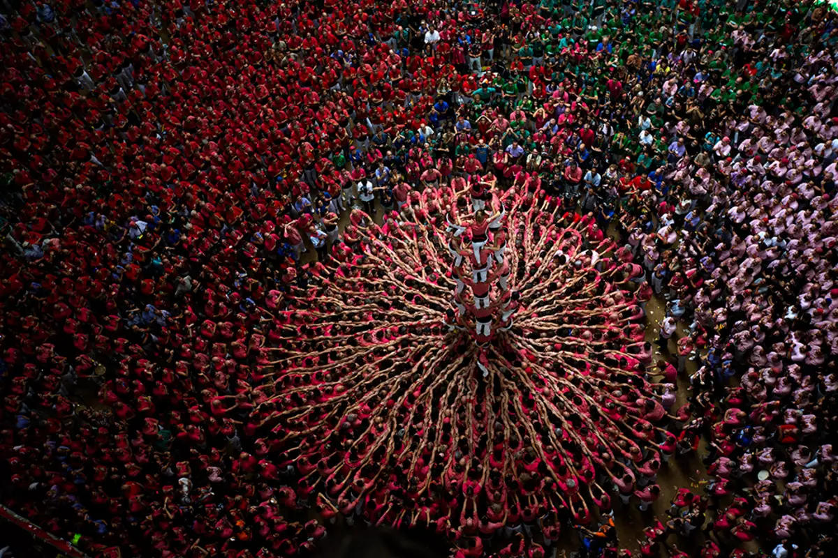 40 melhores fotos 2016