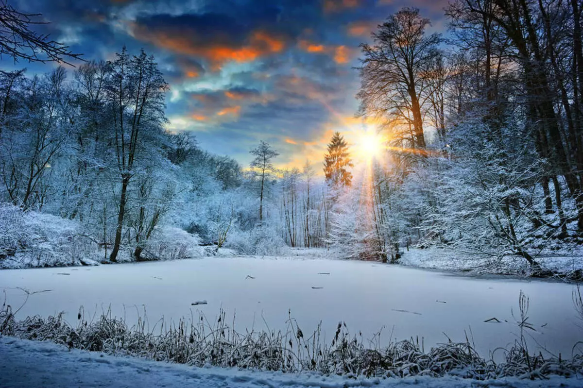 Gaan stap in die winterwoud