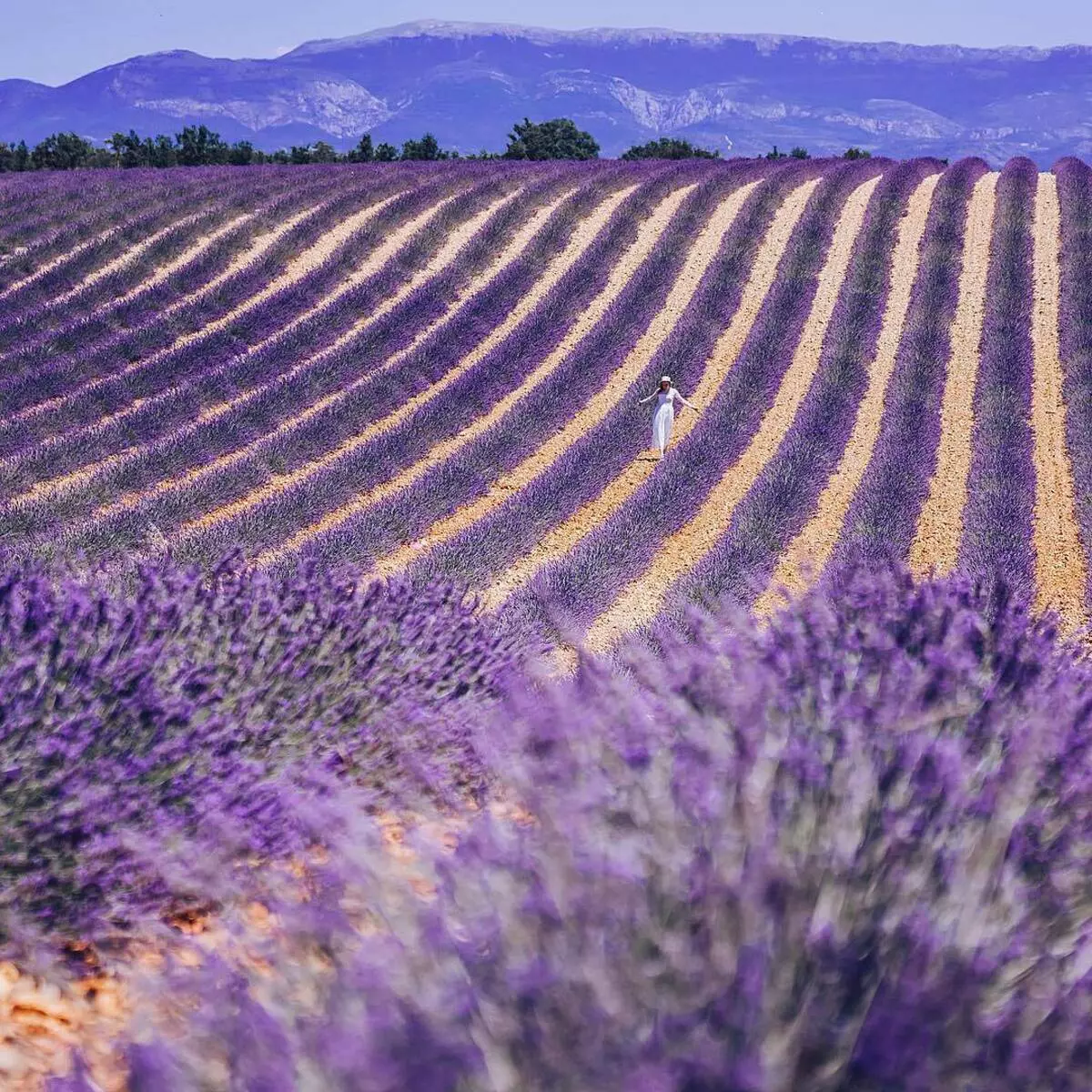 Provence