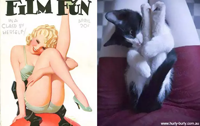 20 photos of cats looking like girls in the style of Pinap