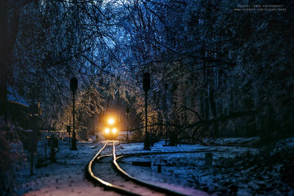 Fotograf brukt i den frosne skogen hele dagen