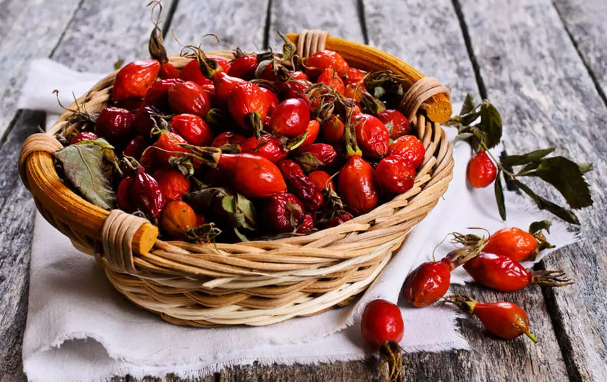 Rosehip Berries ที่มีประโยชน์ที่สุด