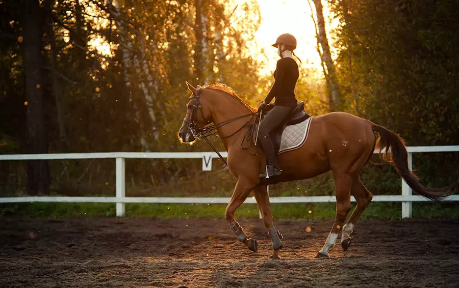 waar rit paarden in Moskou