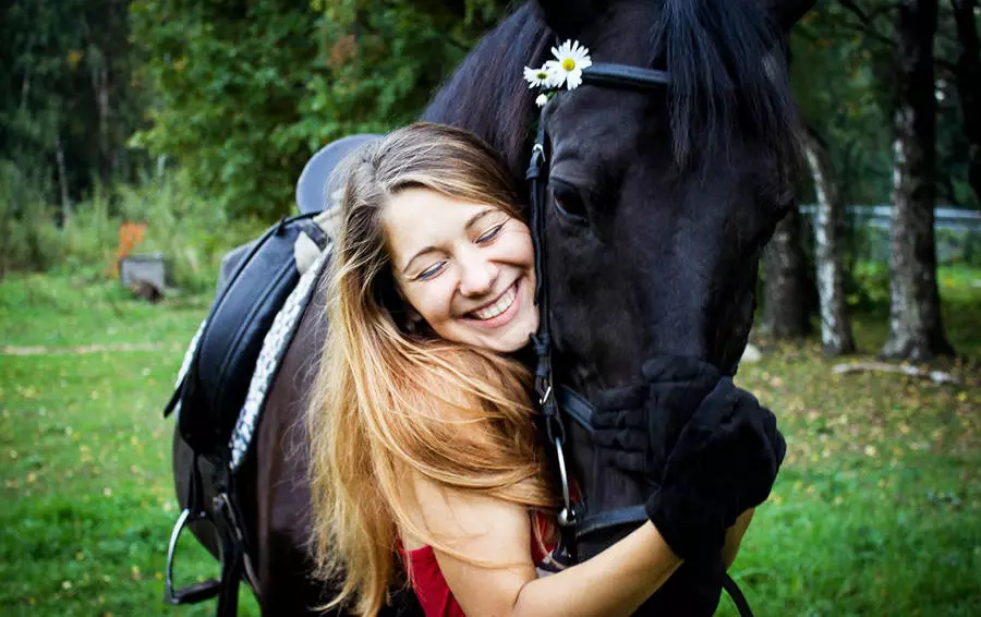 Donde los caballos de viaje en los complejos ecuestres de Moscú